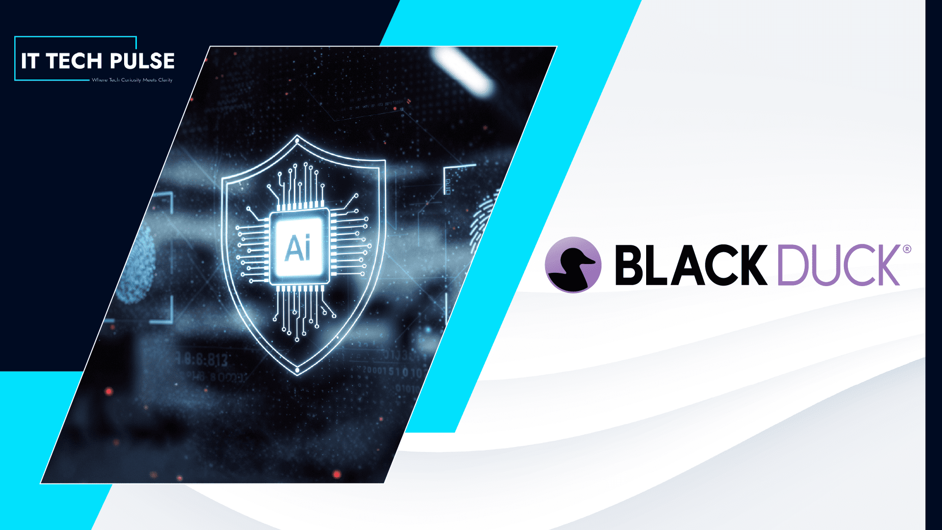 Black Duck Releases BSIMM16 Highlighting AI and Regulatory Shifts in ...
